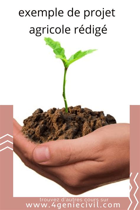 Exemple De Projet Agricole Rédigé Word Pdf - Wadaef FR