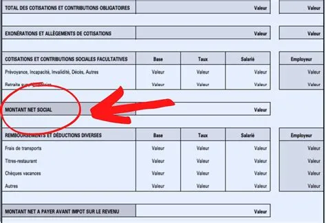 Où Déclarer Le Rsa Dans La Déclaration Trimestrielle - Wadaef FR