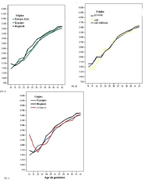 Maghrébin : Définition Et Origine - Wadaef FR