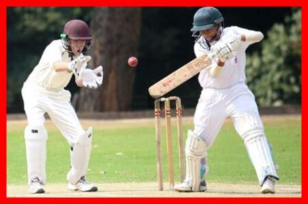 Qui Sont Les Meilleures équipes De Cricket En 2023 ? - Wadaef FR